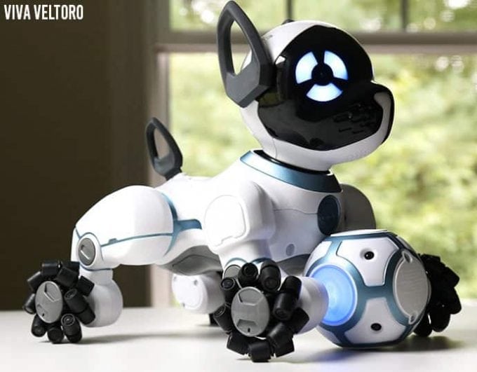 WowWee CHiP and COJI: the Hottest Robot Toys from Toys"R"Us