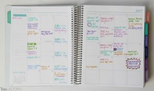 A Review of Plum Paper Planners - Viva Veltoro