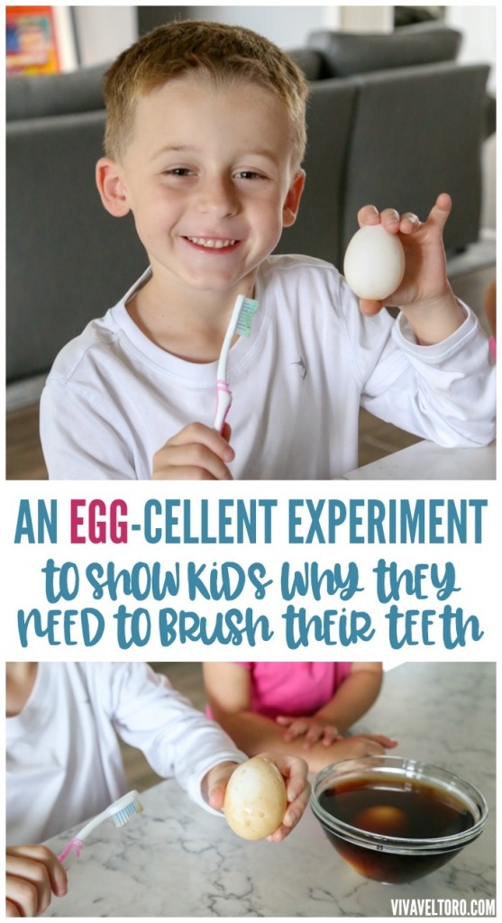 A Tooth Decay Experiment To Show Kids Why Brushing Teeth Matters ...
