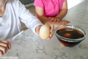 A Tooth Decay Experiment To Show Kids Why Brushing Teeth Matters ...
