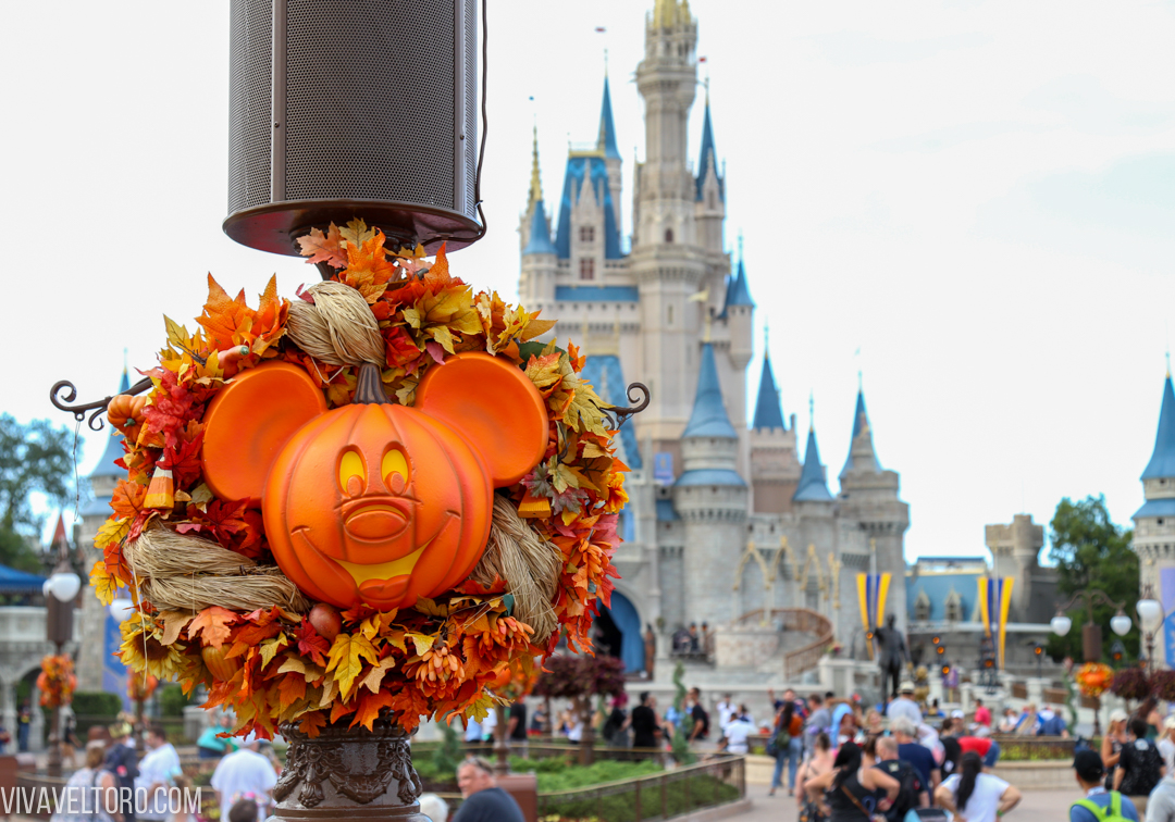 The Best Disney Halloween Party! Tips for Mickey's Not So Scary ...